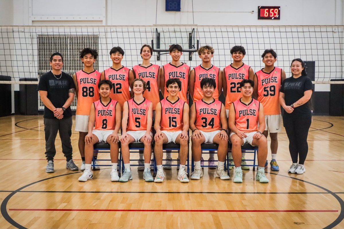 Boys Teams - Pulse Volleyball Club