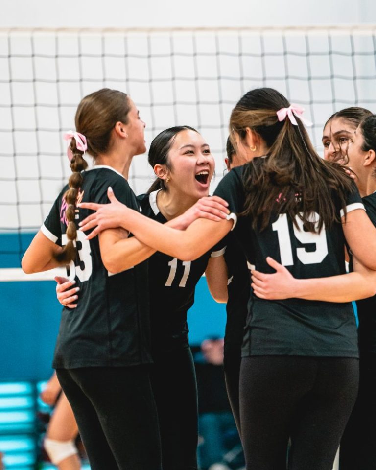 Boys & Girls Developmental Team - Pulse Volleyball Club