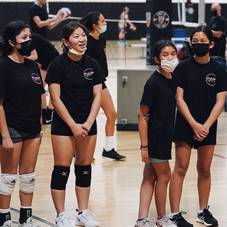 Home - Pulse Volleyball Club