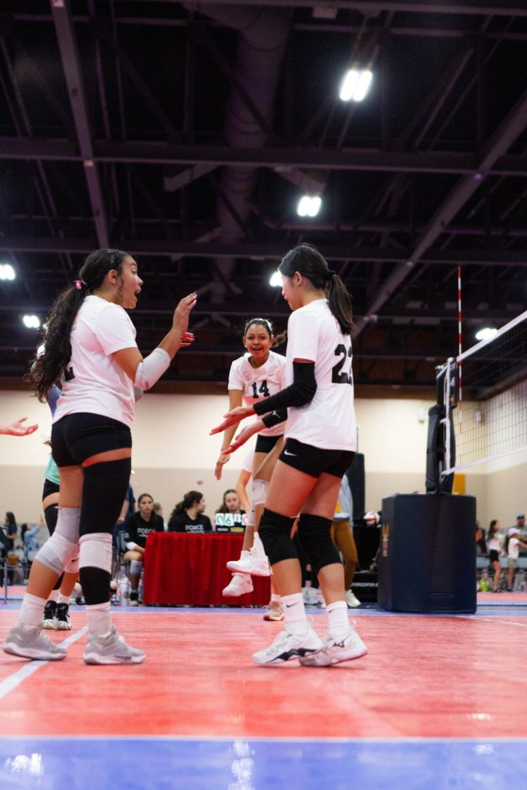 Volleyball Festival 2025 - Pulse Volleyball Club